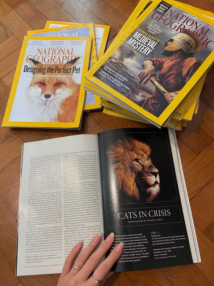 Secondary School Magazine UK: Enhancing Student Engagement